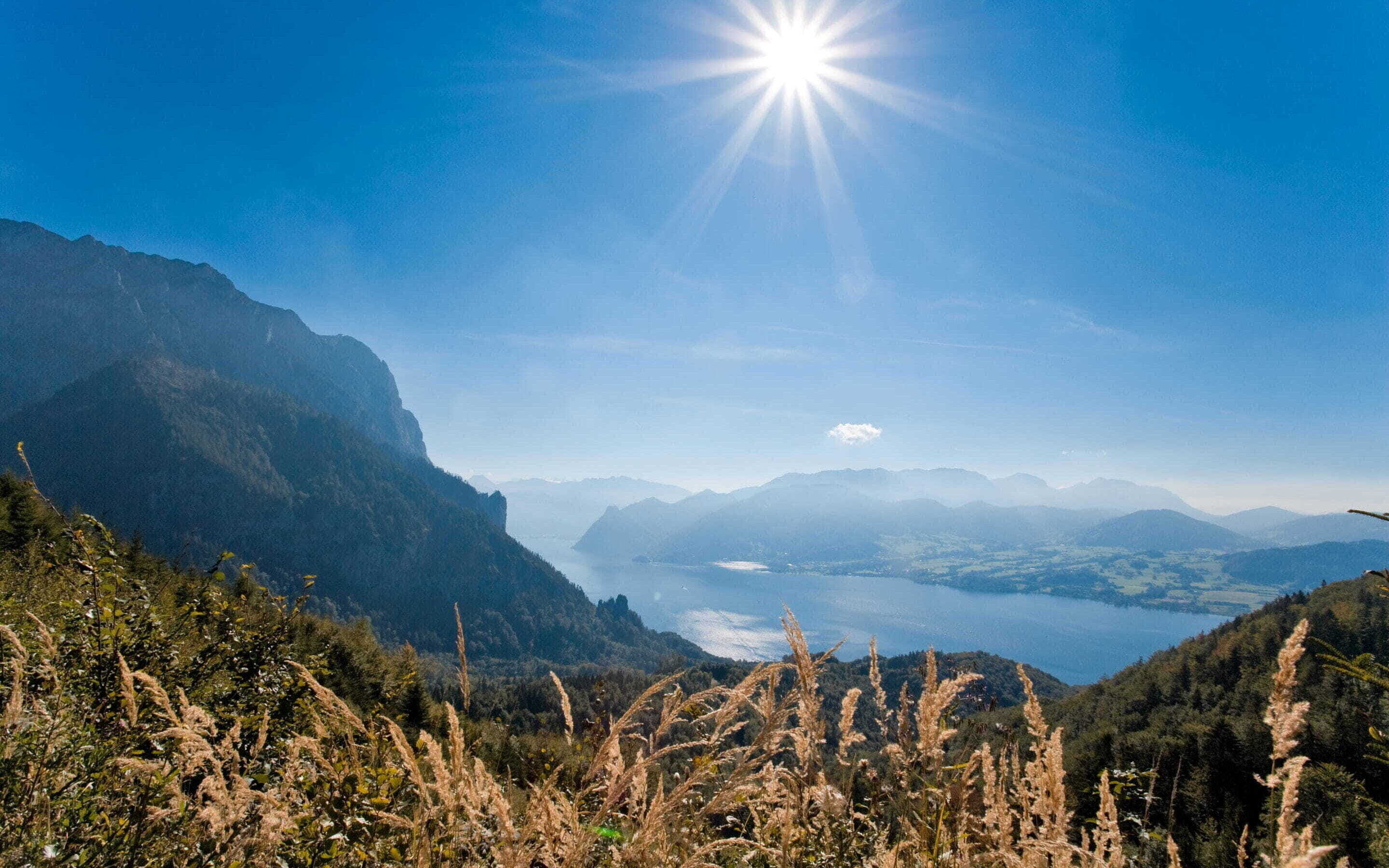 Traunseeregion Wie schmeckt der Grünberg? - Oberösterreich - sabtours