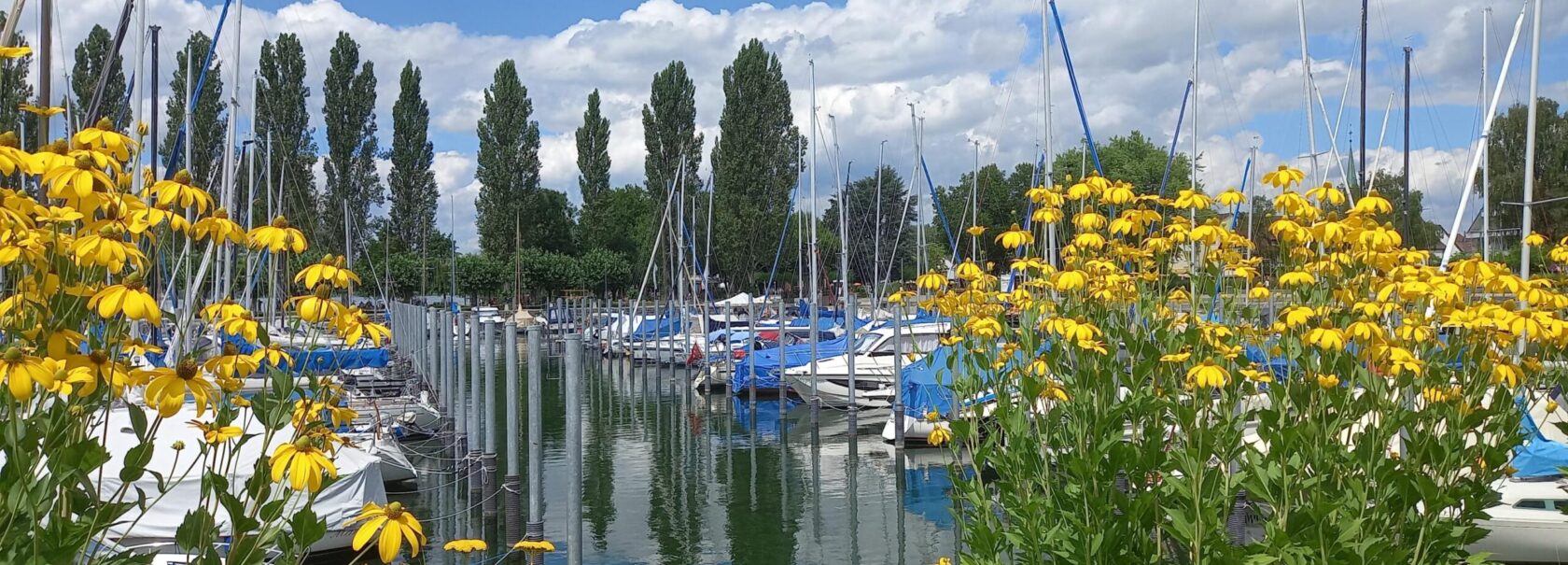 Mit dem Rad rund um den wunderschönen Bodensee - sabtours